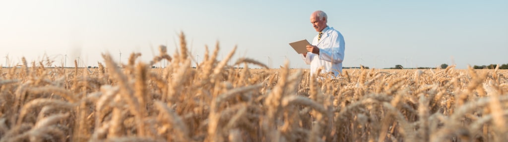 Submit a Research Concept - Foundation for Food & Agriculture Research