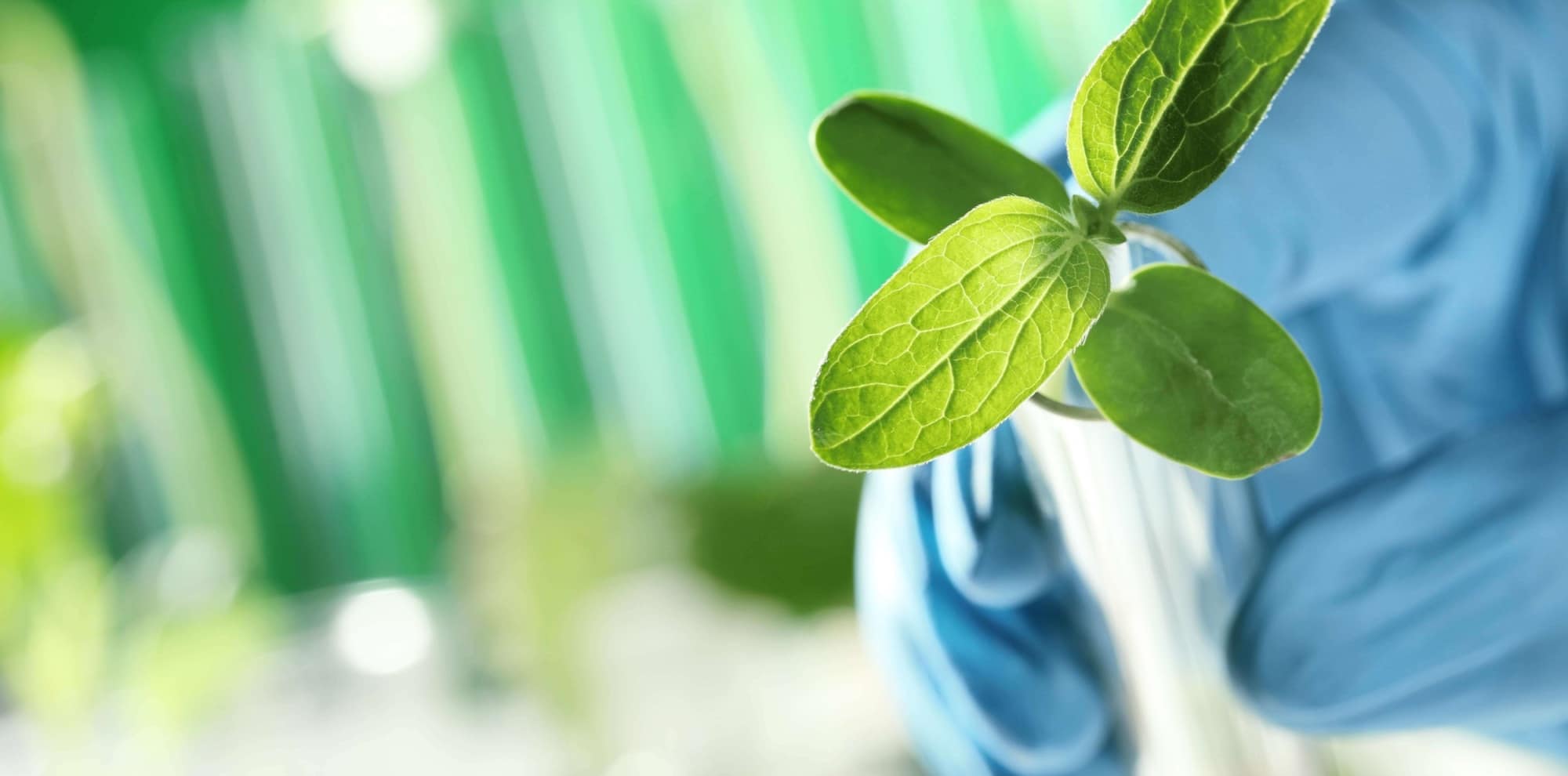 Accelerated Crop Breeding - Foundation for Food & Agriculture Research