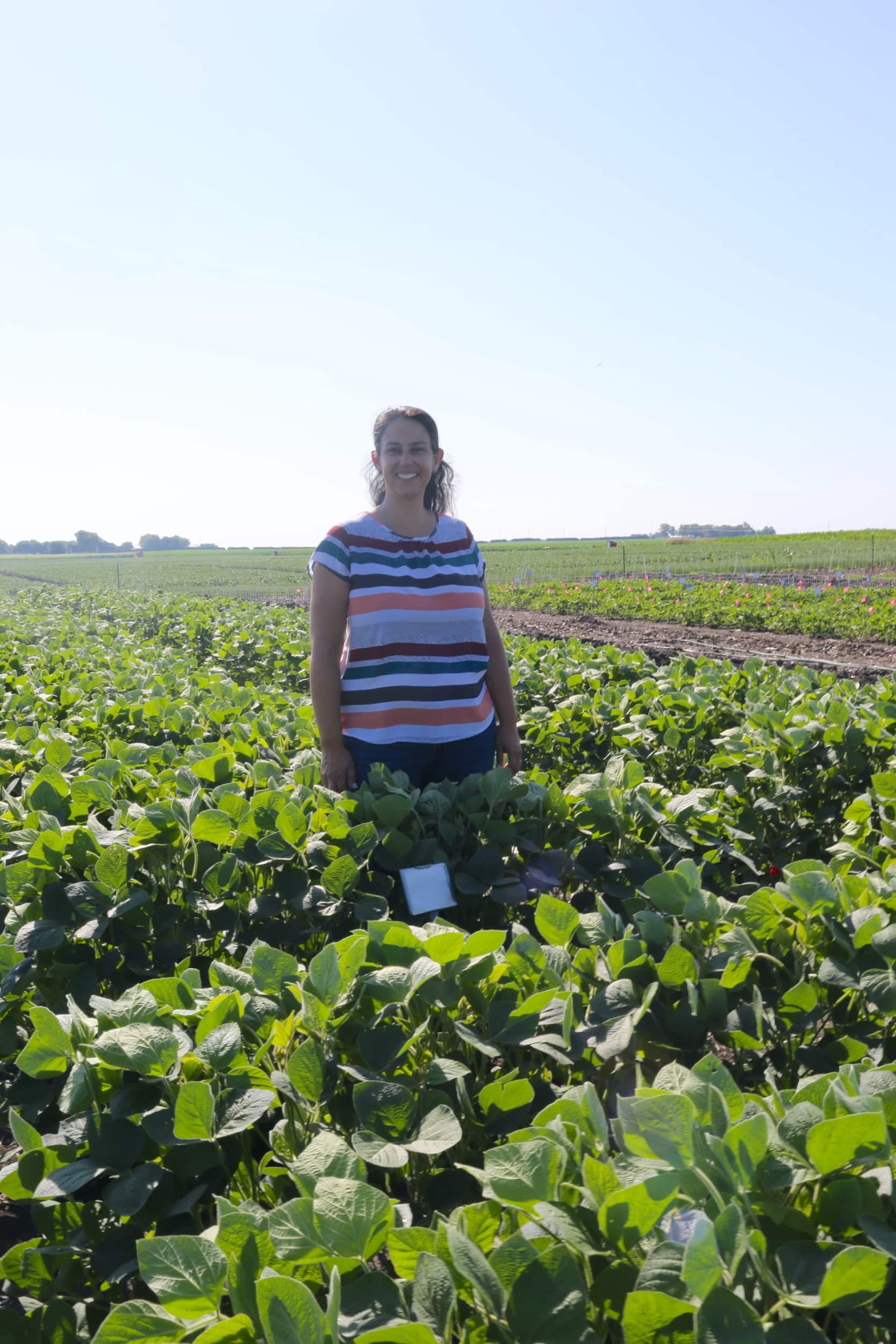 RIPE Researchers Prove Bioengineering Better Photosynthesis Increases ...