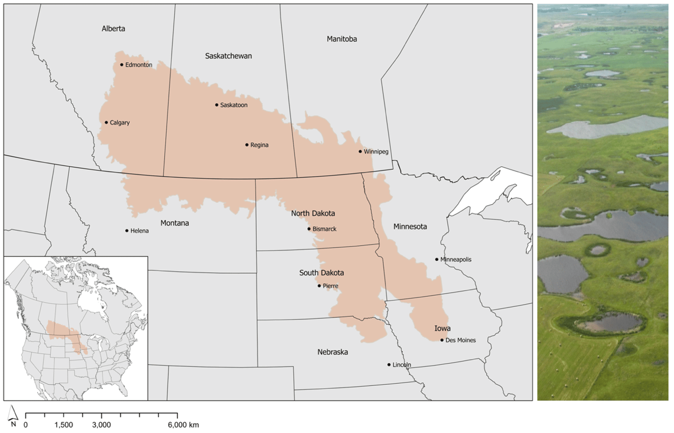 Wetlands: Agricultural Soil & Water Management for a Changing Climate ...