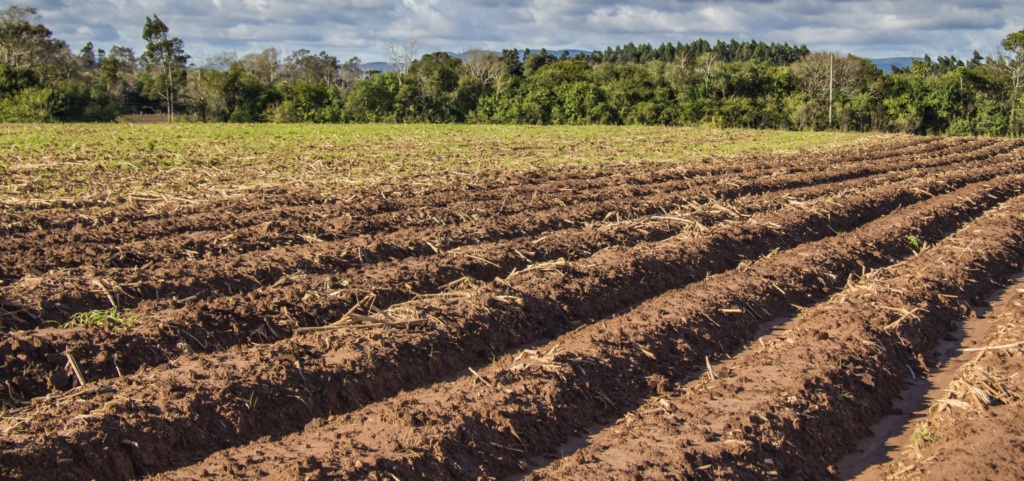 FFAR Grant Determines Effectiveness of Fallowing on Water Conservation ...