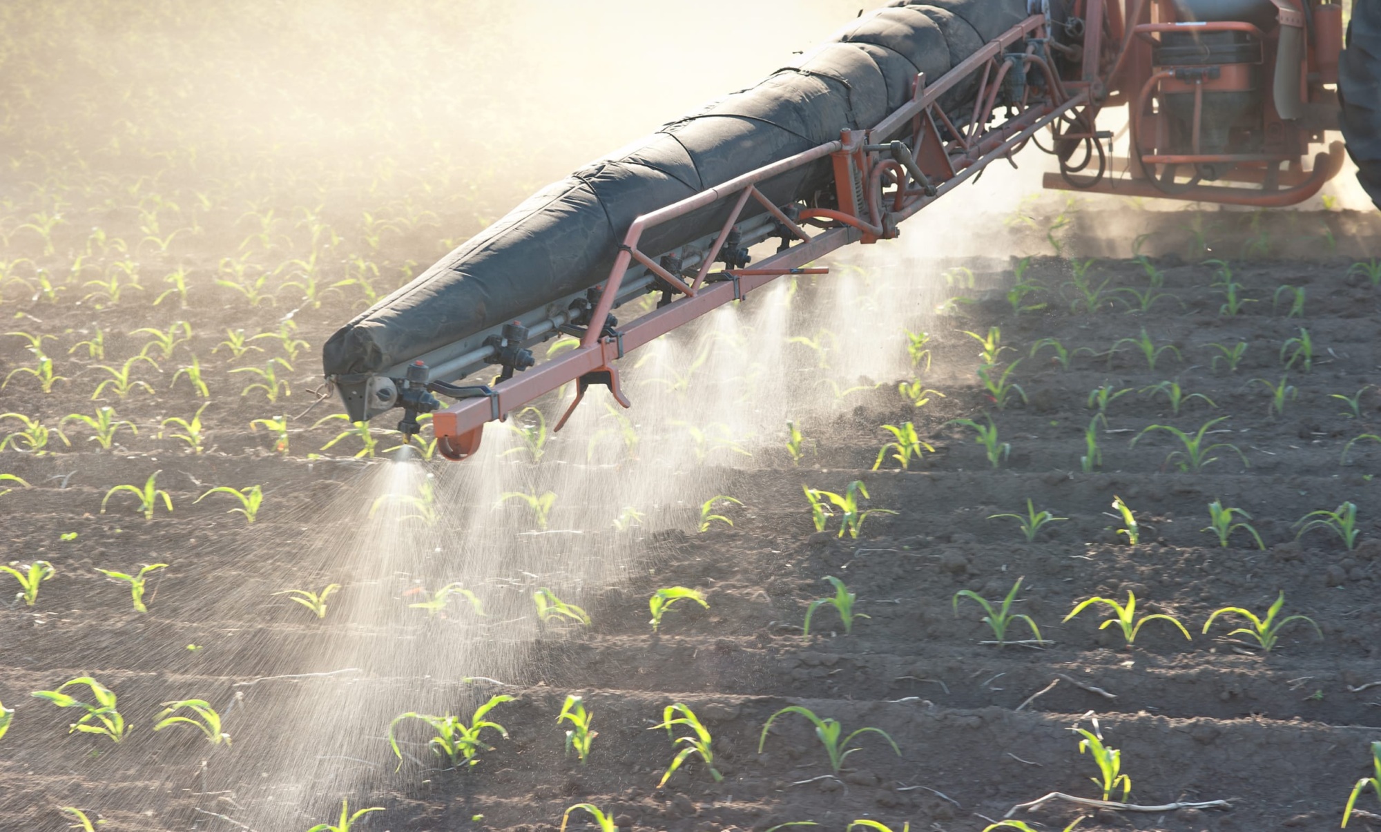 FFAR-OCP Disruptive Fertilizer Technology Fellowship Program ...