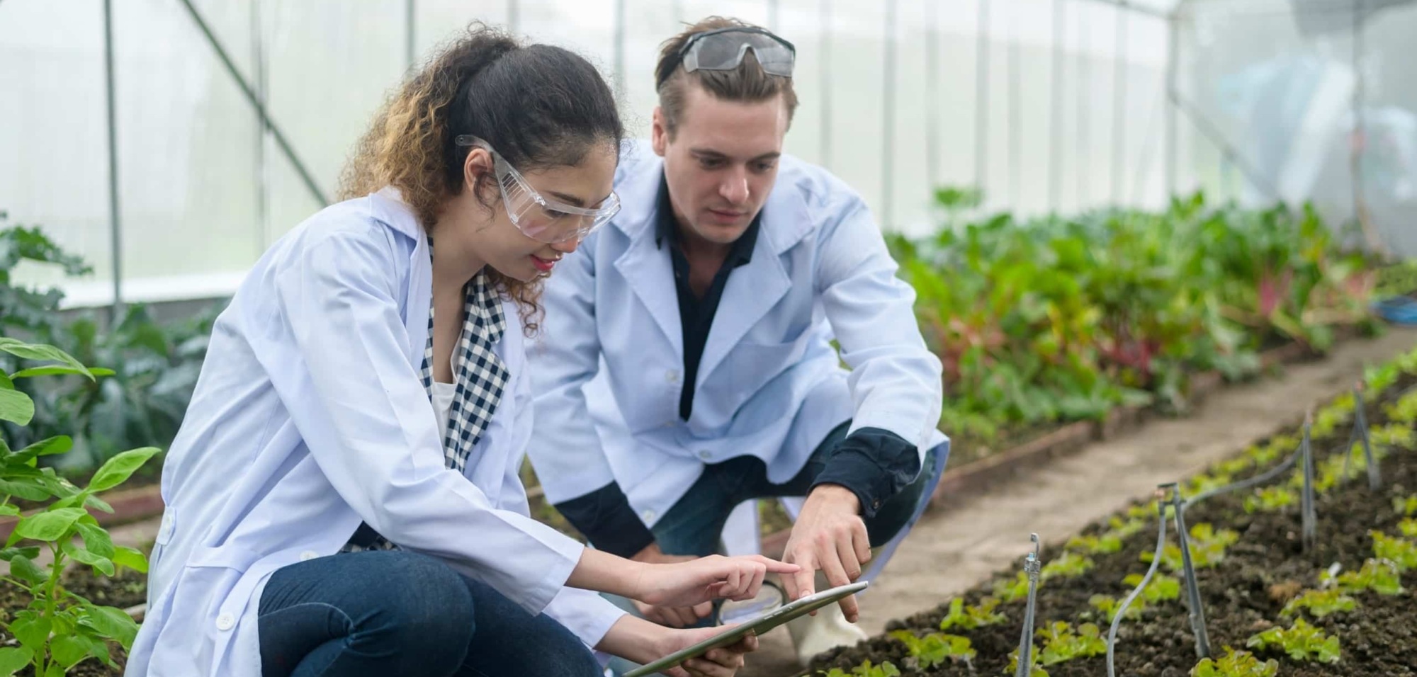 Scientific Workforce - Foundation for Food & Agriculture Research