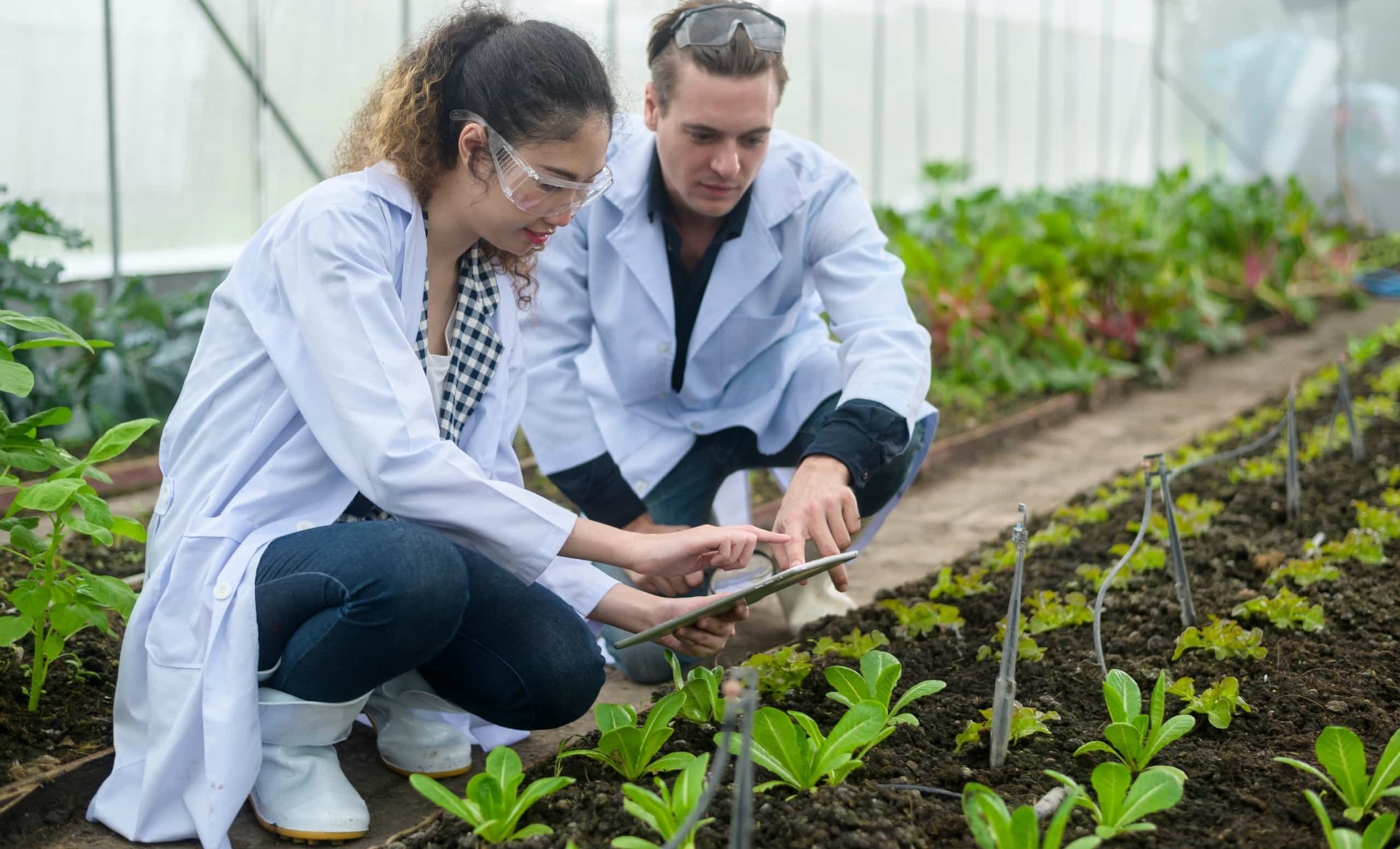 Scientific Workforce - Foundation for Food & Agriculture Research